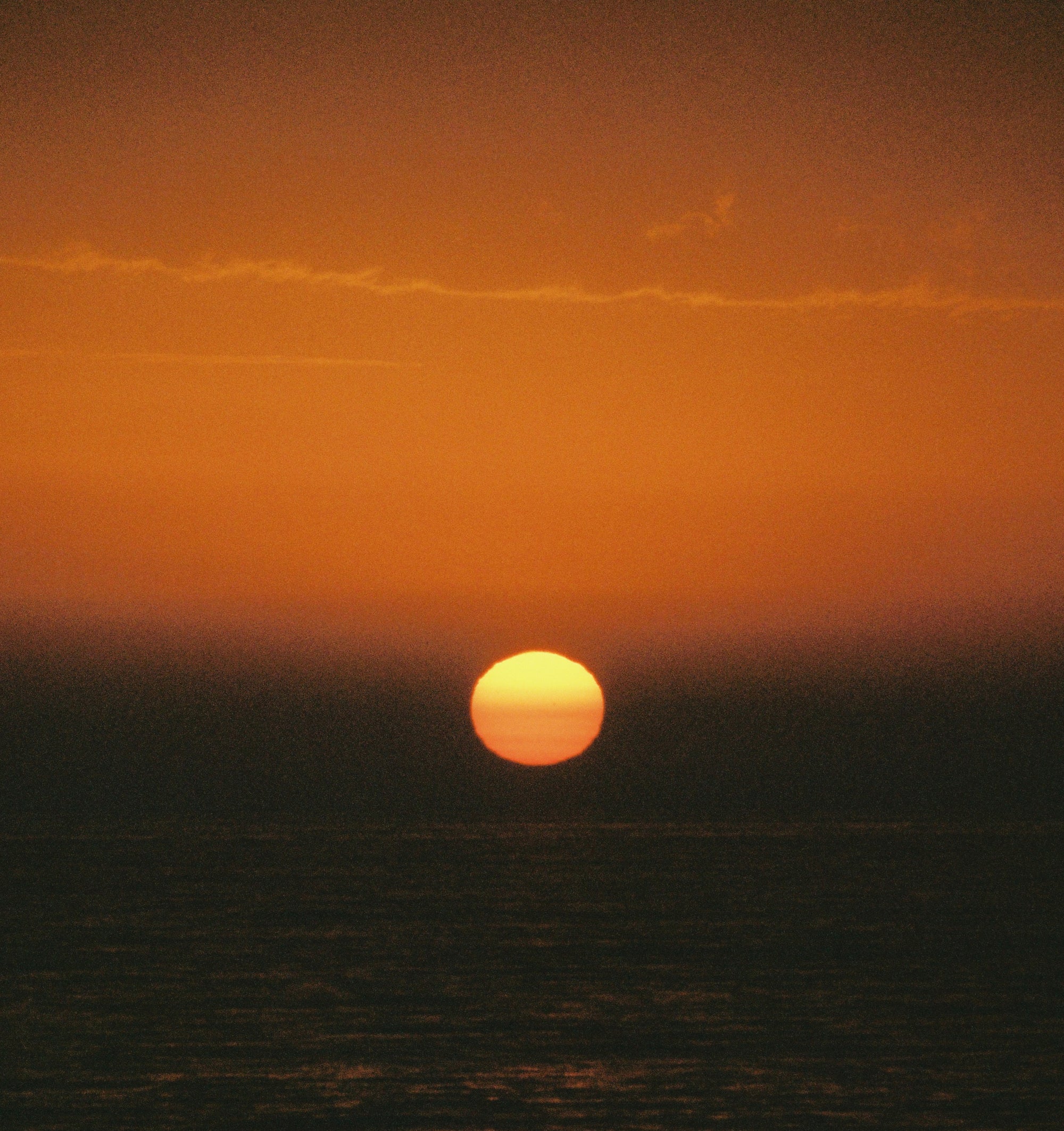 BASIUM — Reconnect to your senses.