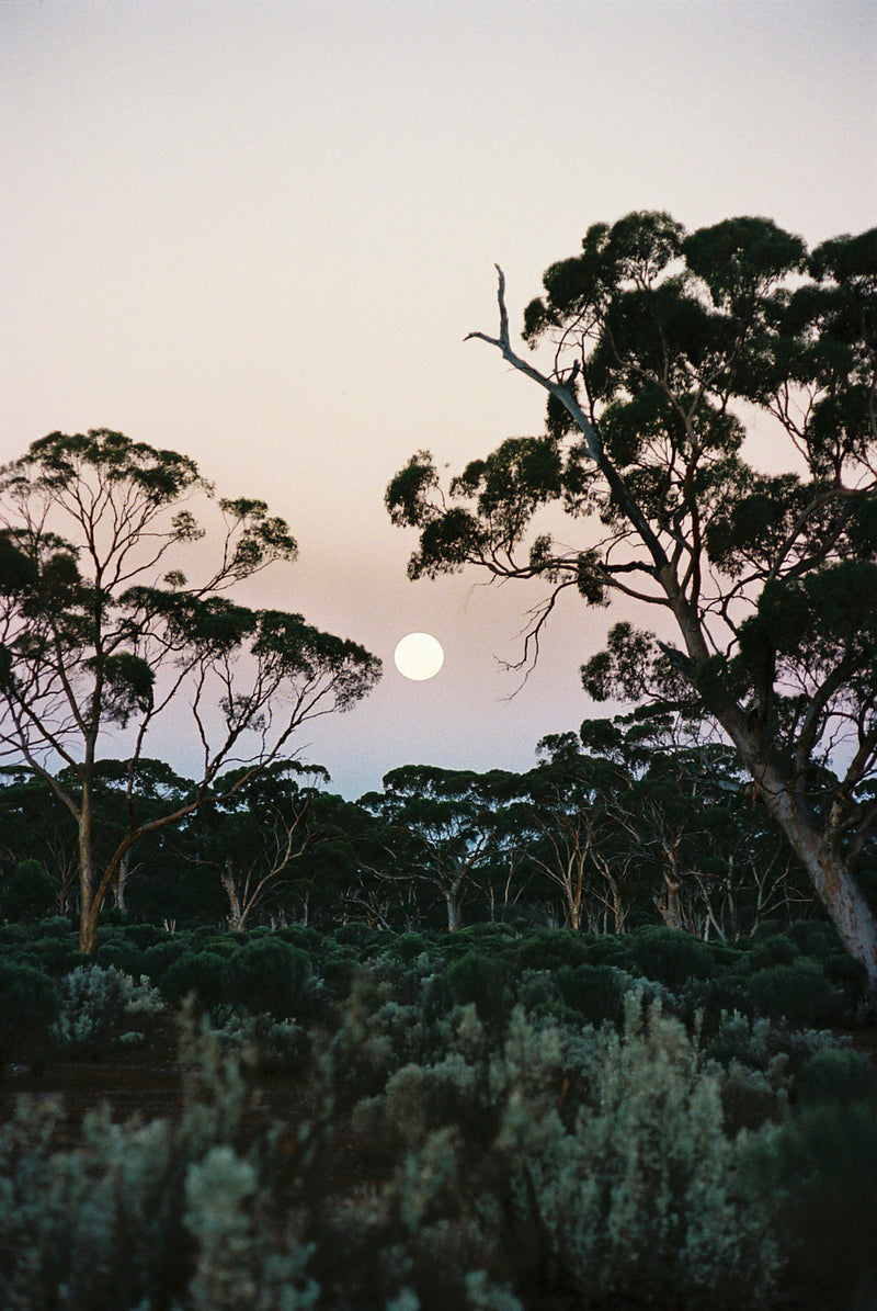 BASIUM — Reconnect to your senses.